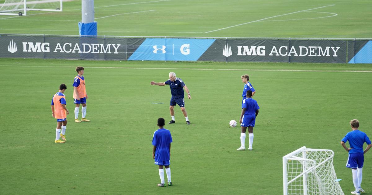 (5) Peer-to-peer mentoring: Harnessing expert guidance to develop the ...